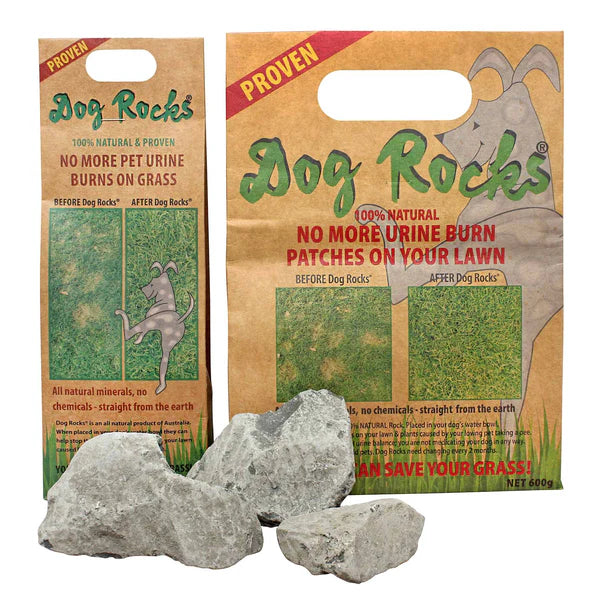 Dog Rocks – Good Boi Club