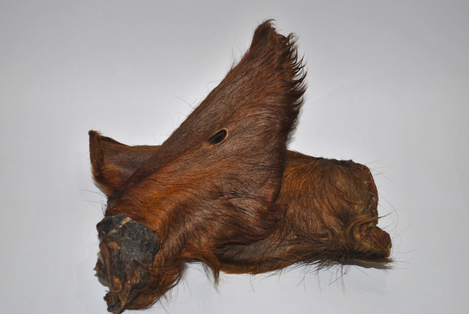 Craving Nature Beef Ears (Single) – Good Boi Club