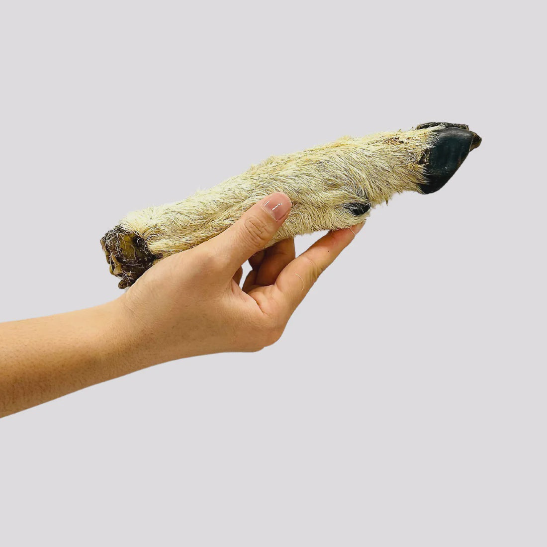 Craving Nature Lamb Trotters – Good Boi Club