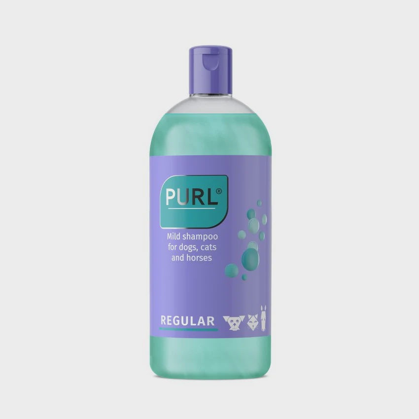 Kyron Purl Regular Shampoo 500ml – Good Boi Club