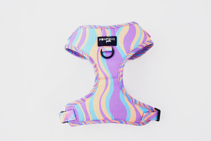 Pompous Pets Lollipop Dog Harness – Good Boi Club