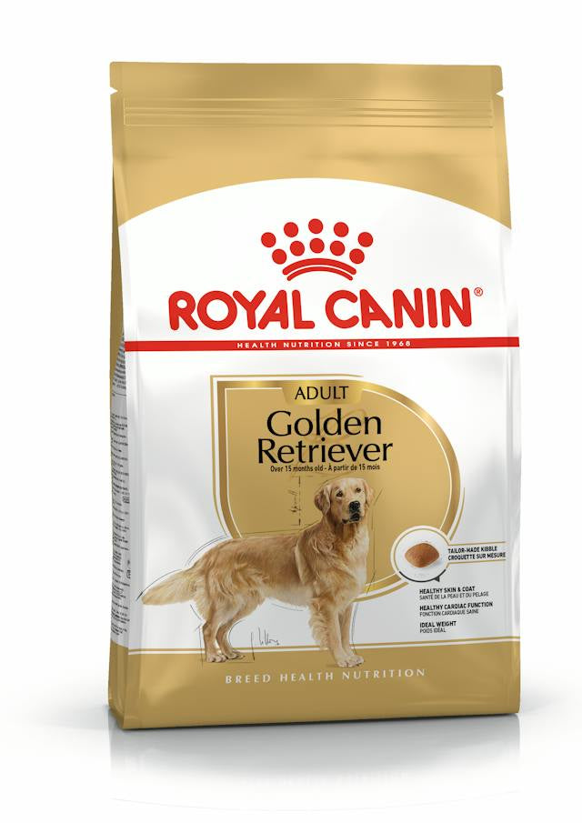 Golden Retriever Adult – Good Boi Club